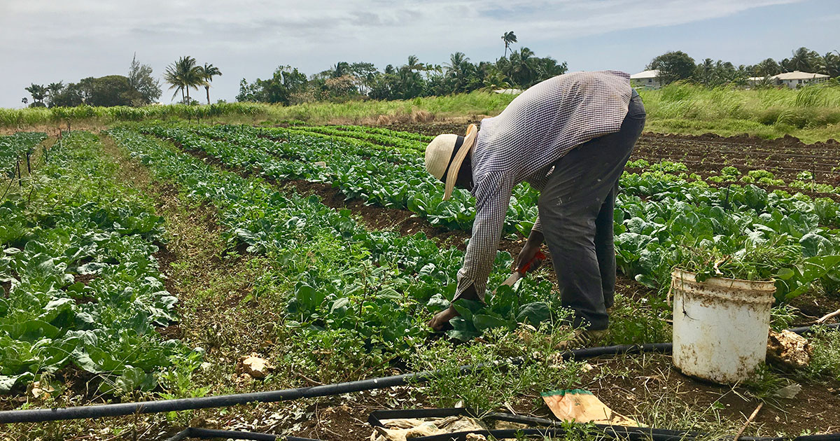Food Security - Time to Change the Way We Produce and Consume Healthy ...